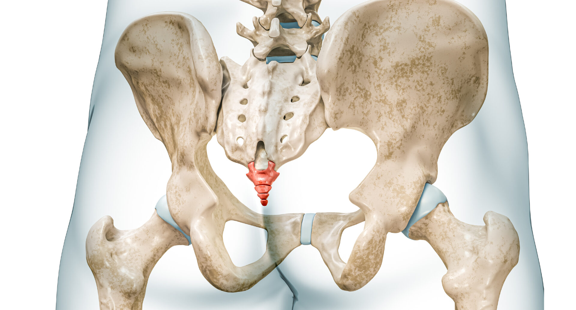 Ganglion Impar Block | FX Spine & Pain Center Evans, GA
